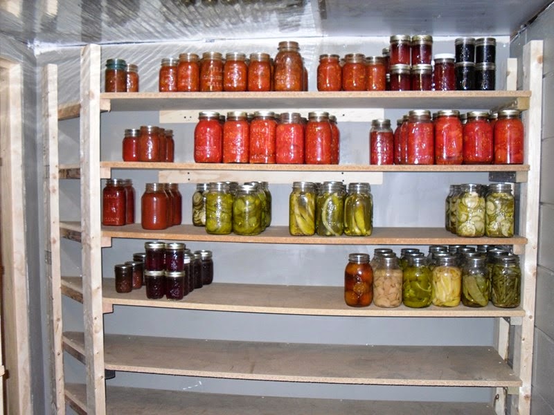 The Redneck Homestead Family: Root cellar gets shelving & canned goods